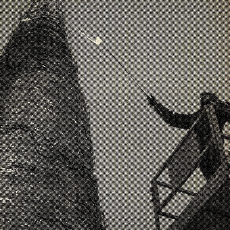 Worlds Tallest Glass Tree