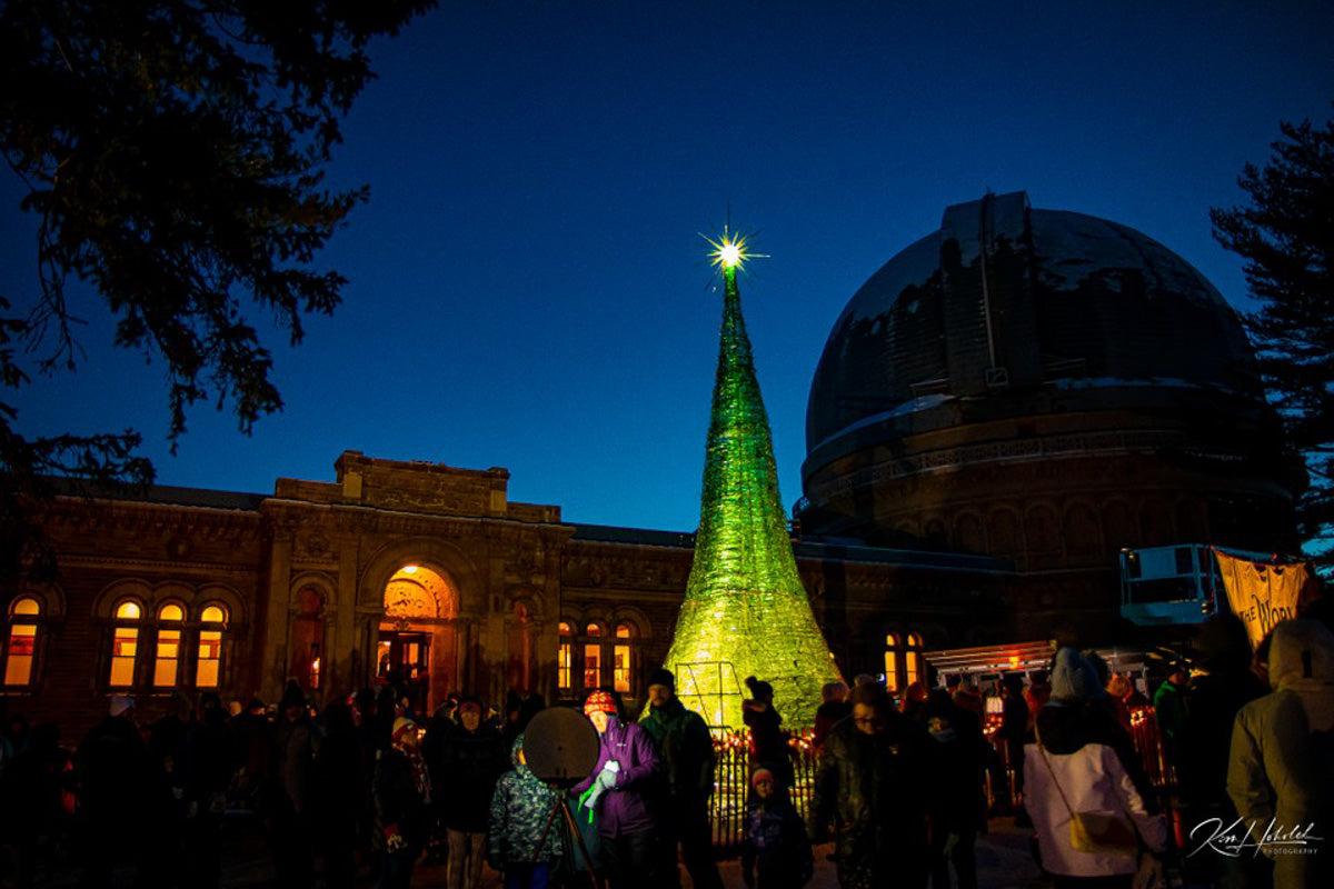Worlds Tallest Glass Tree